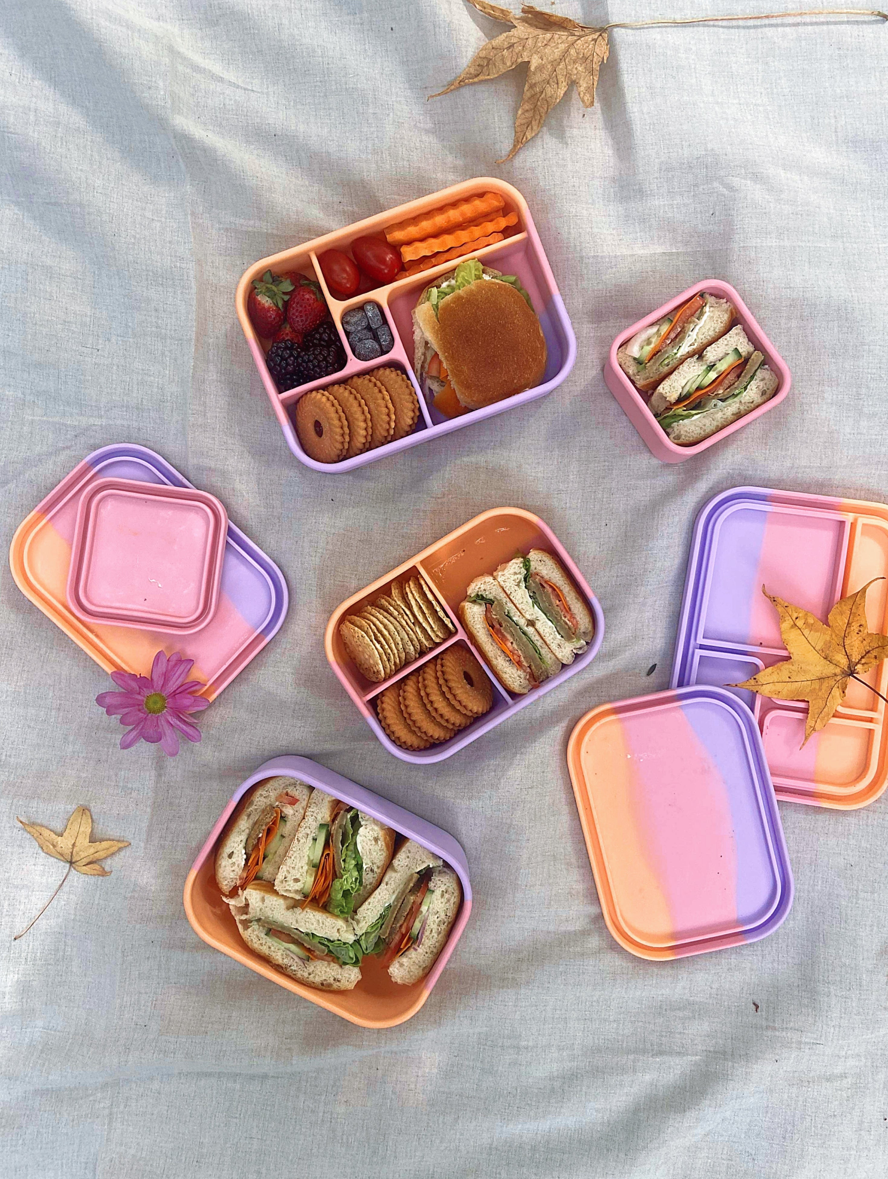 Silicone Lunchboxes – The Zero Waste People